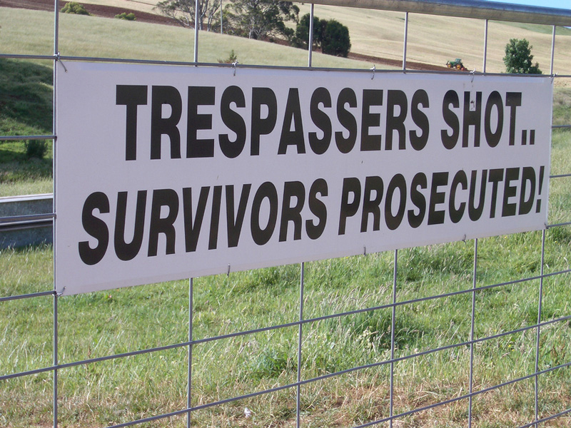 Increase Your Response: Make A Bold Promise! - Grow The Dream