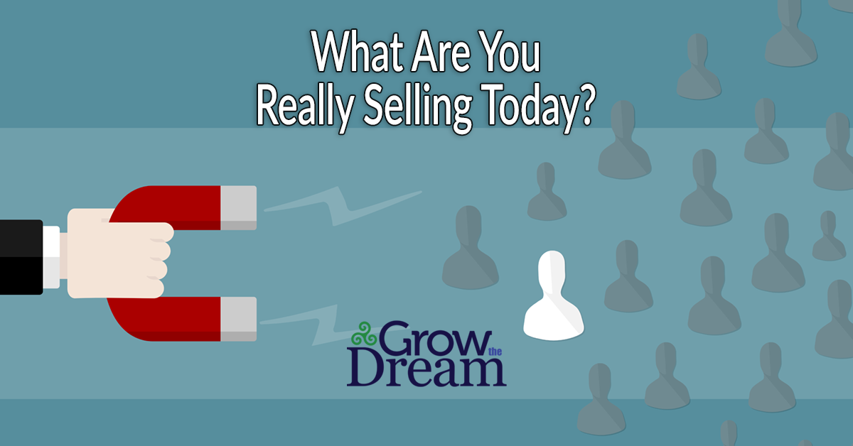 What Are You Really Selling Today? - Grow The Dream